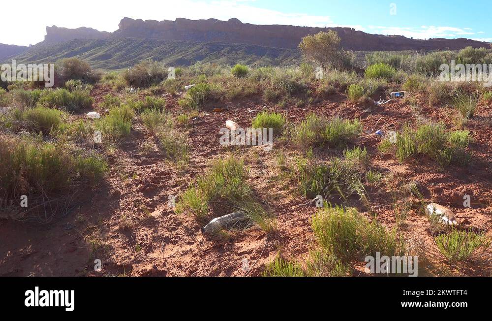Litter trash park Stock Videos & Footage - HD and 4K Video Clips - Alamy