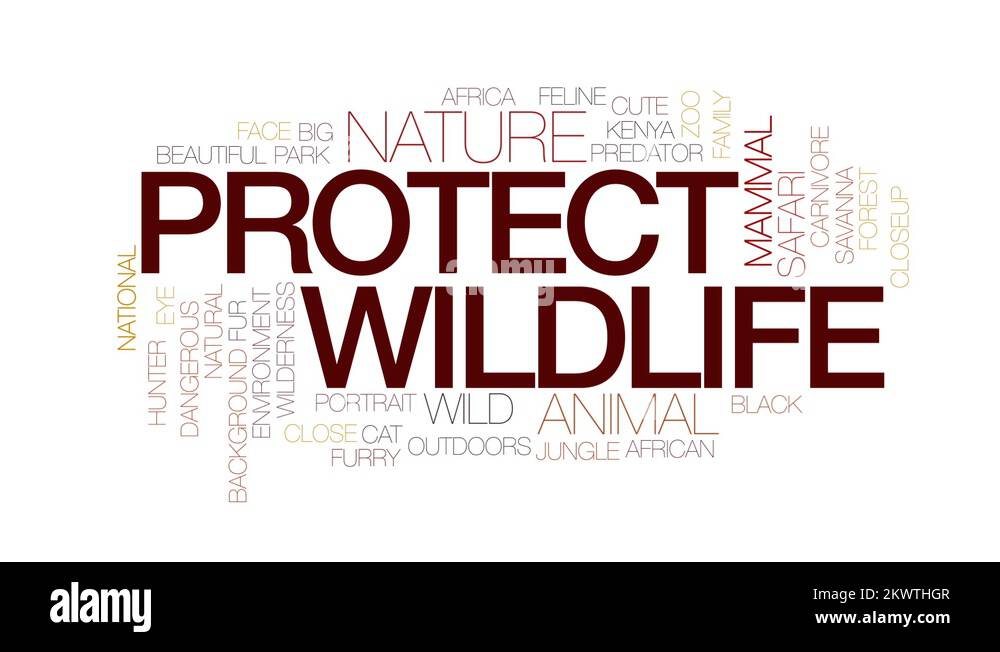 Protect wildlife animated word cloud, text design animation. Kinetic ...