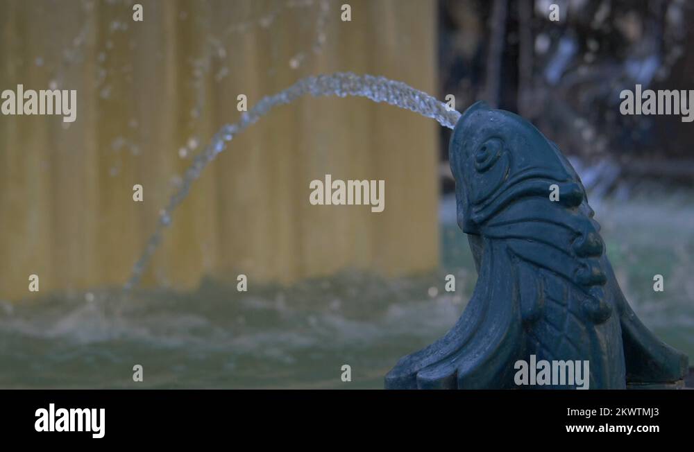 Fish spitting water Stock Videos & Footage - HD and 4K Video Clips - Alamy