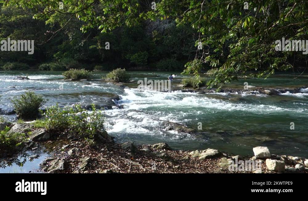 Macal river Stock Videos & Footage - HD and 4K Video Clips - Alamy