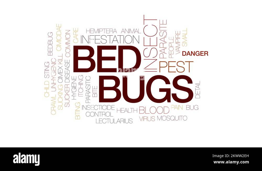 Bed bugs animated word cloud, text design animation. Kinetic typography ...
