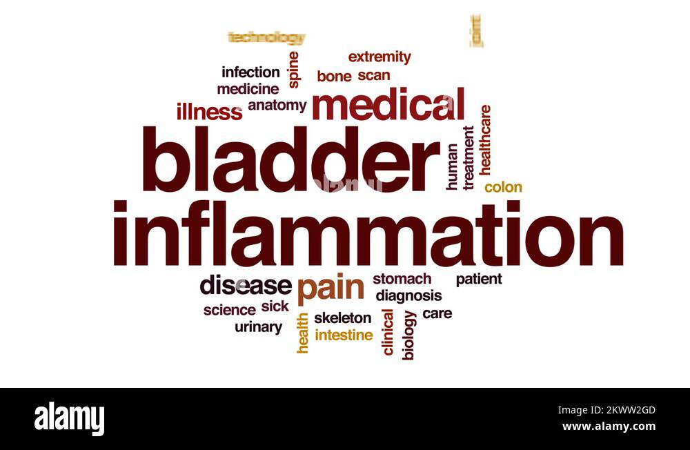 Bladder inflammation animated word cloud, text design animation Stock ...