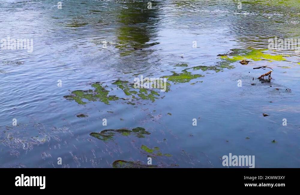 River blocked Stock Videos & Footage - HD and 4K Video Clips - Alamy