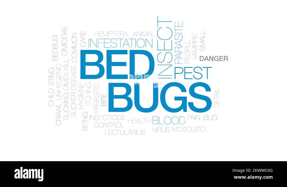 Bed bugs animated word cloud, text design animation. Kinetic typography ...