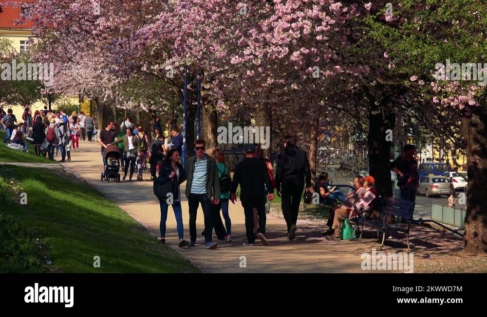 People walk up and down a path in an urban park Stock Video Footage - Alamy