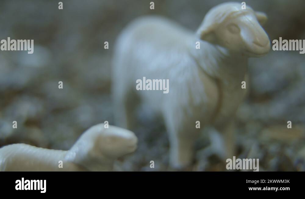 Nativity scene sheep Stock Videos & Footage - HD and 4K Video Clips - Alamy