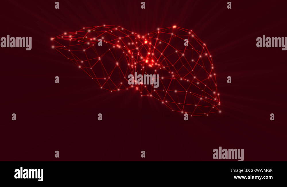 Human liver illustration Stock Videos & Footage - HD and 4K Video Clips ...