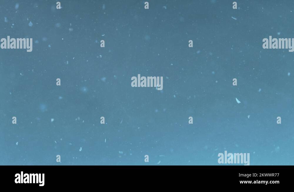 Macro of organic debris particles floating underwater looking like ...