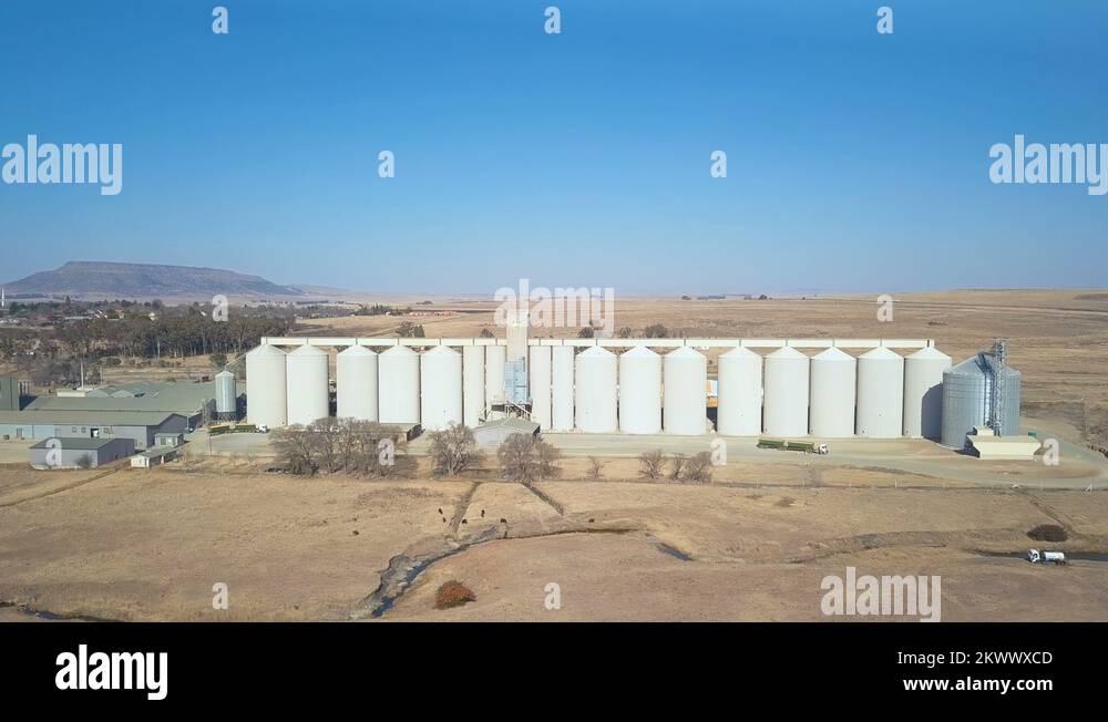 Horizontal grain Stock Videos & Footage - HD and 4K Video Clips - Alamy