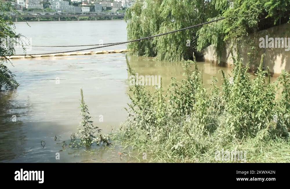 Seoul wave Stock Videos & Footage - HD and 4K Video Clips - Alamy