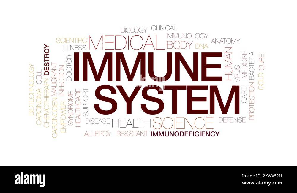 Immune system animated word cloud, text design animation. Kinetic ...