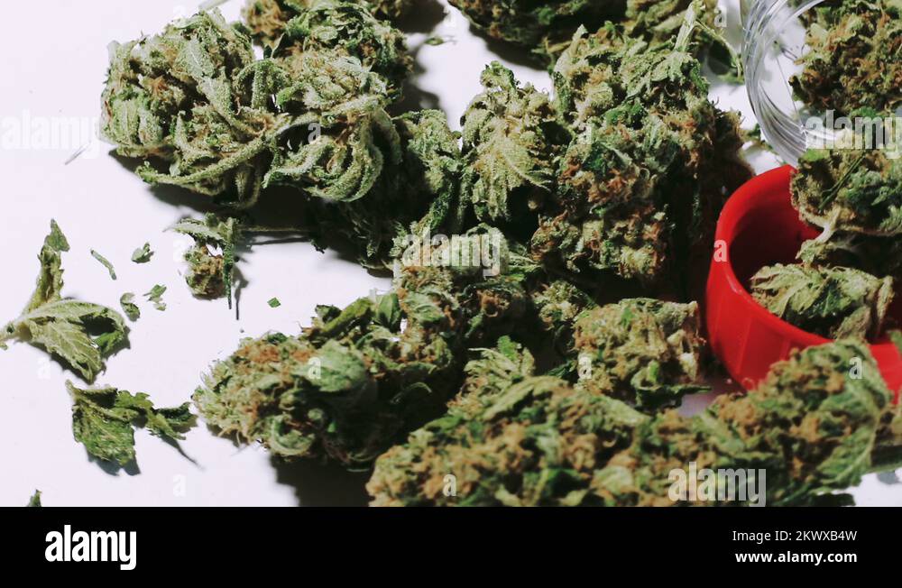 Weed of plant Stock Videos & Footage - HD and 4K Video Clips - Alamy