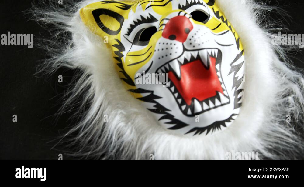 Animal mask Stock Videos & Footage - HD and 4K Video Clips - Alamy