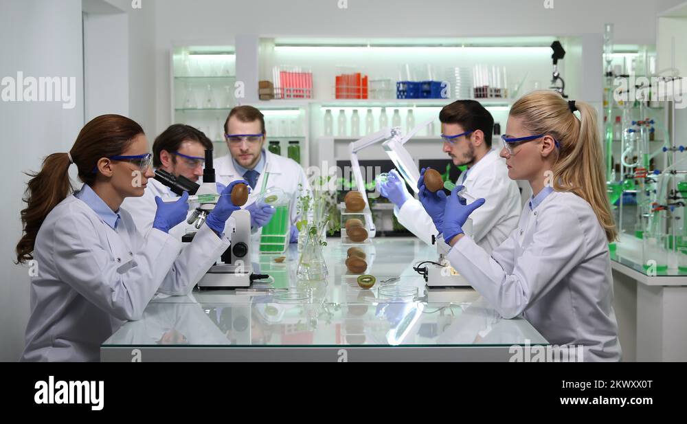 Biologists Researchers Team Testing Kiwi Fruit Injecting Chemicals in ...