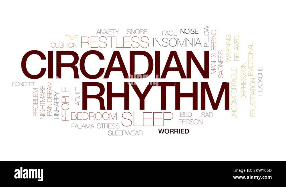 Circadian rhythm animated word cloud, text design animation. Kinetic ...