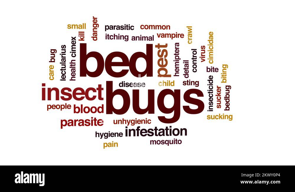 Bed bugs animated word cloud, text design animation Stock Video Footage ...