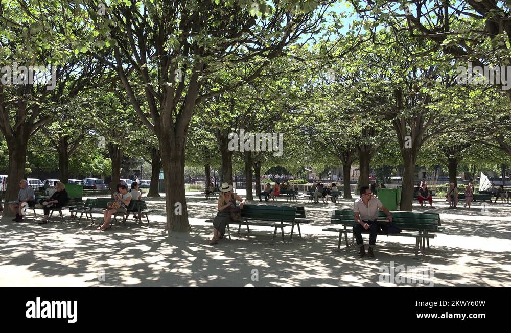 Paris Notre Dame Cathedral, People Tourists Visiting Church Park in ...