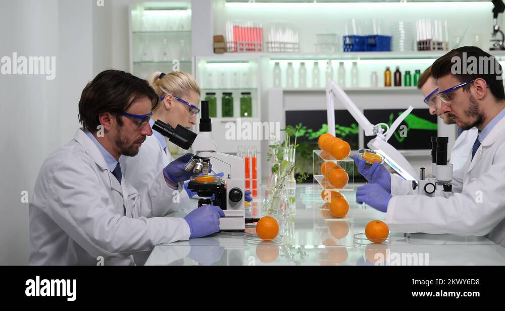 Orange microscope Stock Videos & Footage - HD and 4K Video Clips - Alamy