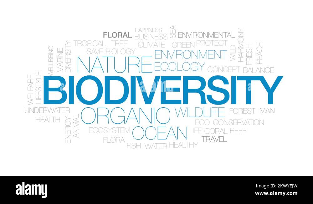 Biodiversity animated word cloud, text design animation. Kinetic ...