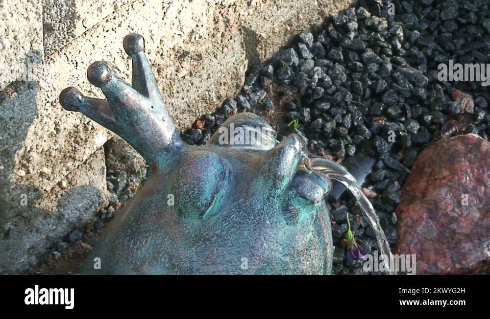 Frog water fountain Stock Videos & Footage - HD and 4K Video Clips - Alamy