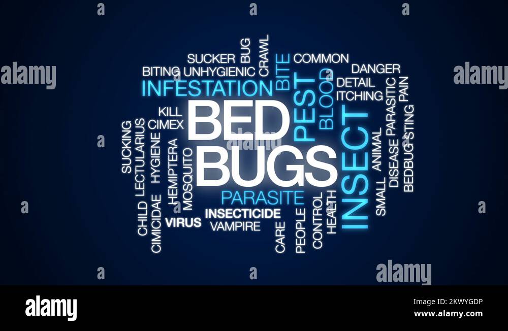 Bed bugs animated word cloud, text design animation Stock Video Footage ...