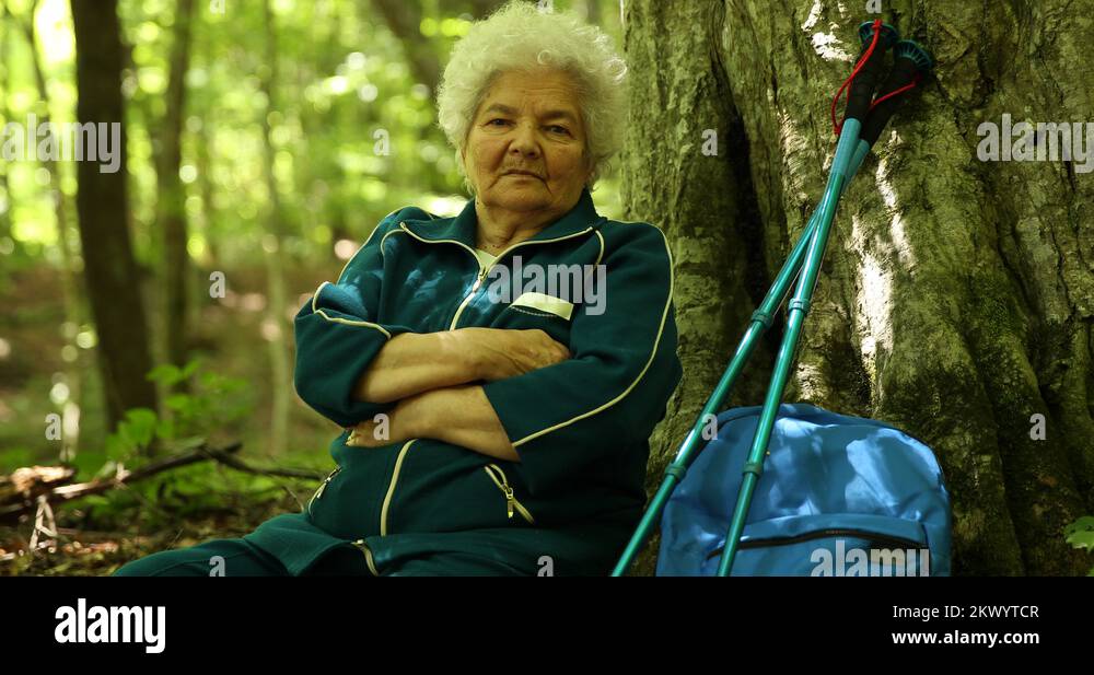 Aging trees Stock Videos & Footage - HD and 4K Video Clips - Alamy