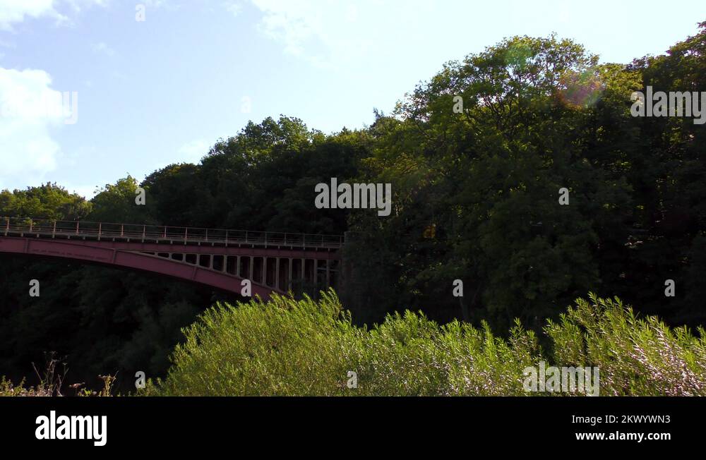 Diesel engine pulling steam train carriages country bridge Stock Video ...
