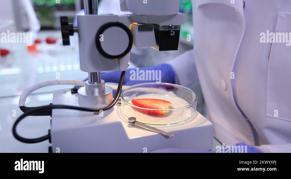 Microscopic tests Stock Videos & Footage - HD and 4K Video Clips - Alamy