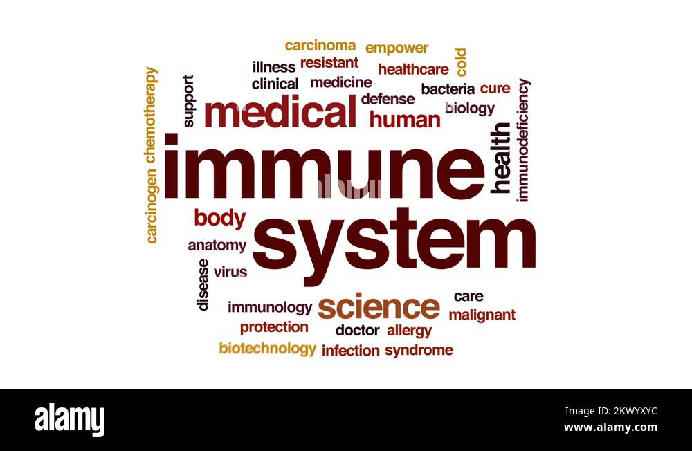 Immune system animated word cloud, text design animation Stock Video ...