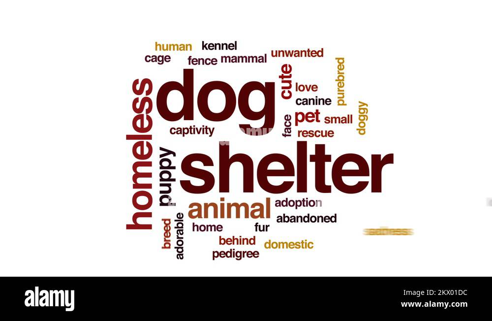Dog shelter animated word cloud, text design animation Stock Video ...