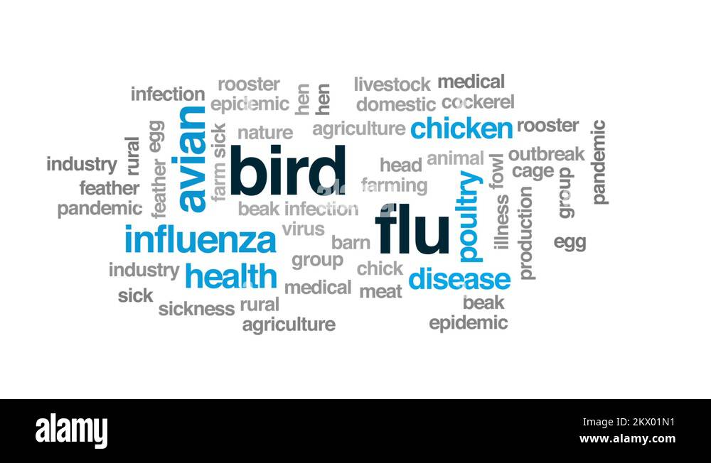 Word poultry Stock Videos & Footage - HD and 4K Video Clips - Alamy