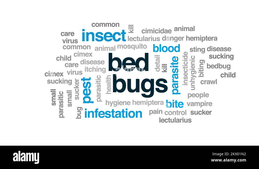 Bed bugs animated word cloud, text design animation Stock Video Footage ...