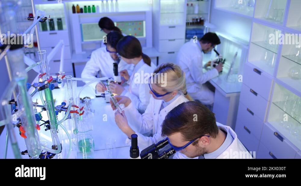 Biologists Researchers Talk About Lab Experiment Microscope Test in ...
