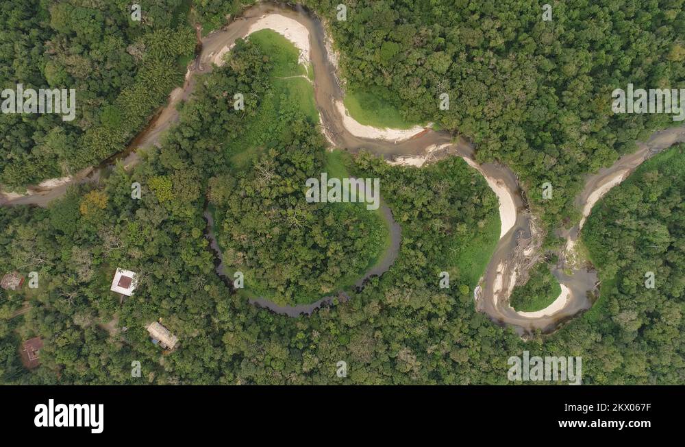 Tropical rainforest congo basin Stock Videos & Footage - HD and 4K ...