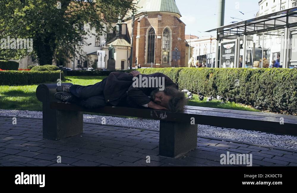 Sleeping hawk Stock Videos & Footage - HD and 4K Video Clips - Alamy