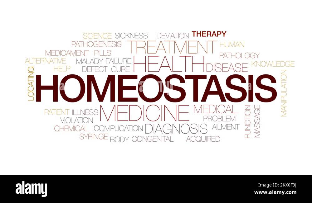 Homeostasis animated word cloud, text design animation. Kinetic ...