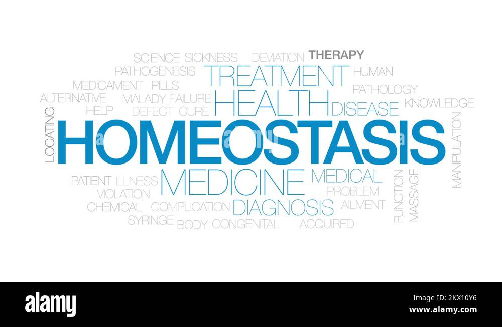 Homeostasis animated word cloud, text design animation. Kinetic ...