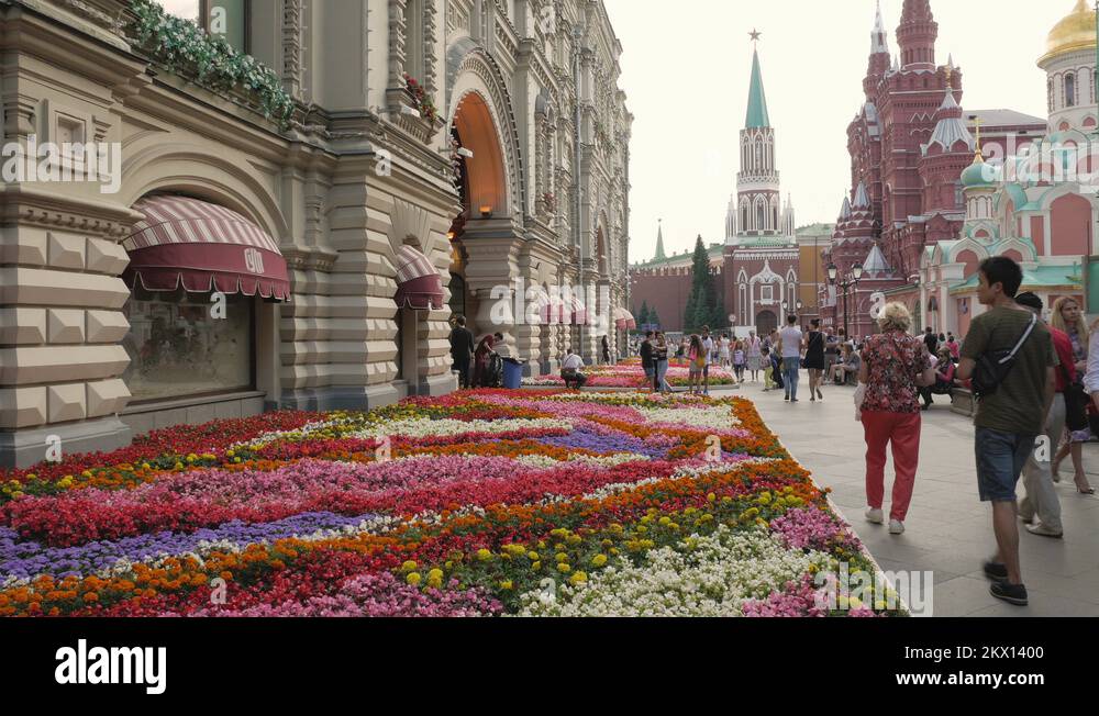 Flower carpets Stock Videos & Footage - HD and 4K Video Clips - Alamy