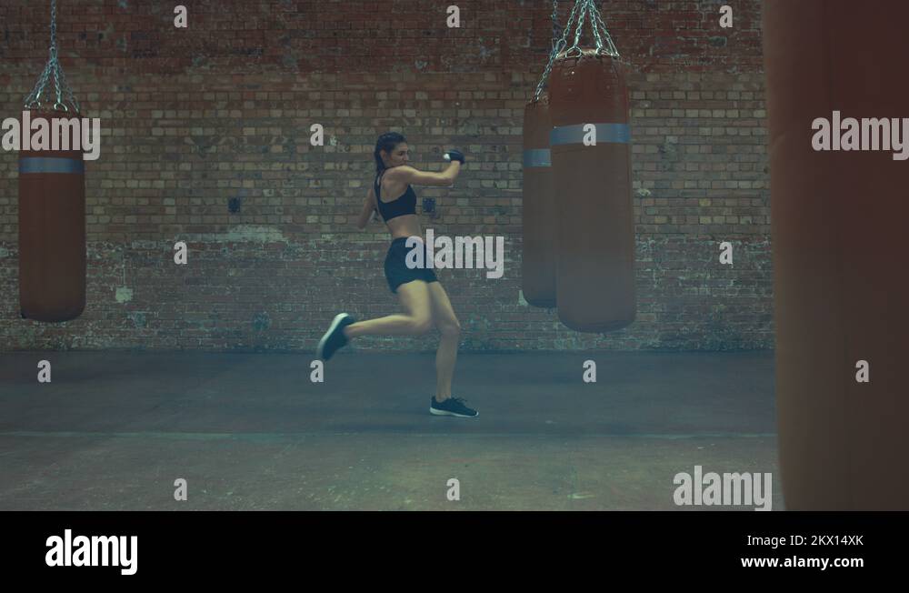 Boxing gymnasium model Stock Videos & Footage - HD and 4K Video Clips ...