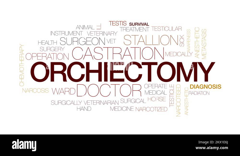 Orchiectomy animated word cloud, text design animation. Kinetic ...