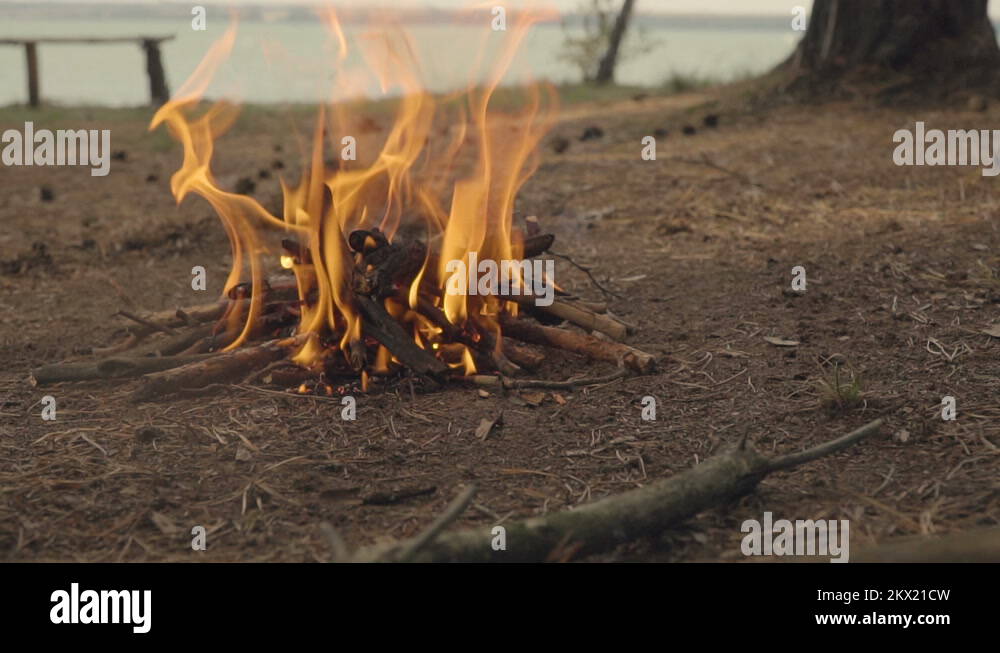 Burning bonfire at riverside lake forest glade camping. Bench, tree ...