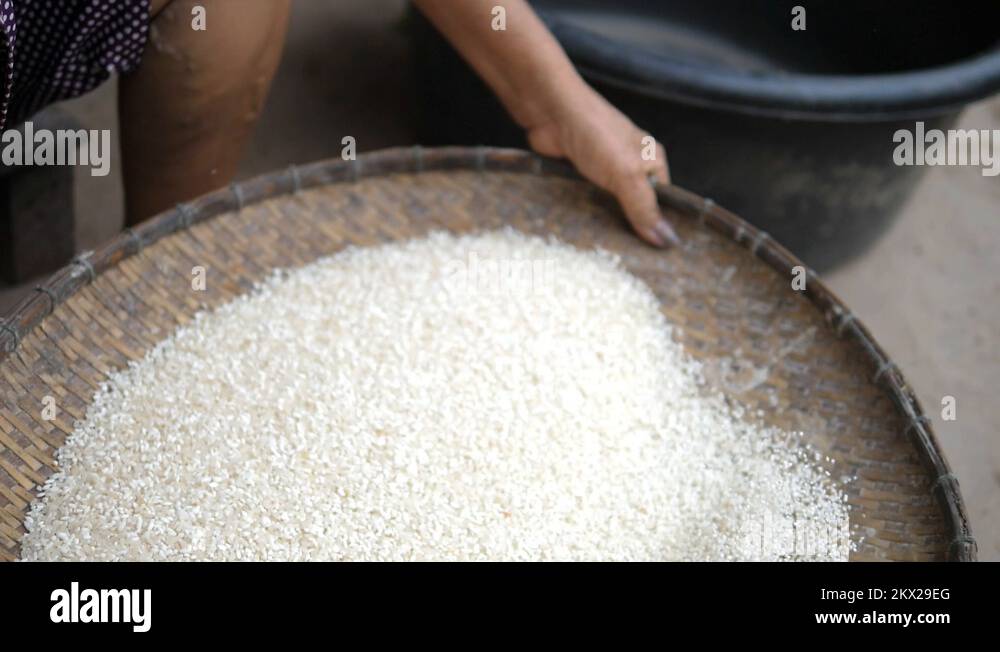 Laos rice farmer Stock Videos & Footage - HD and 4K Video Clips - Alamy