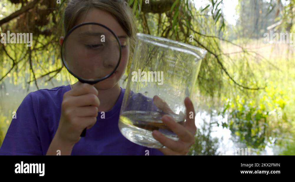 Water and magnifying glass Stock Videos & Footage - HD and 4K Video ...