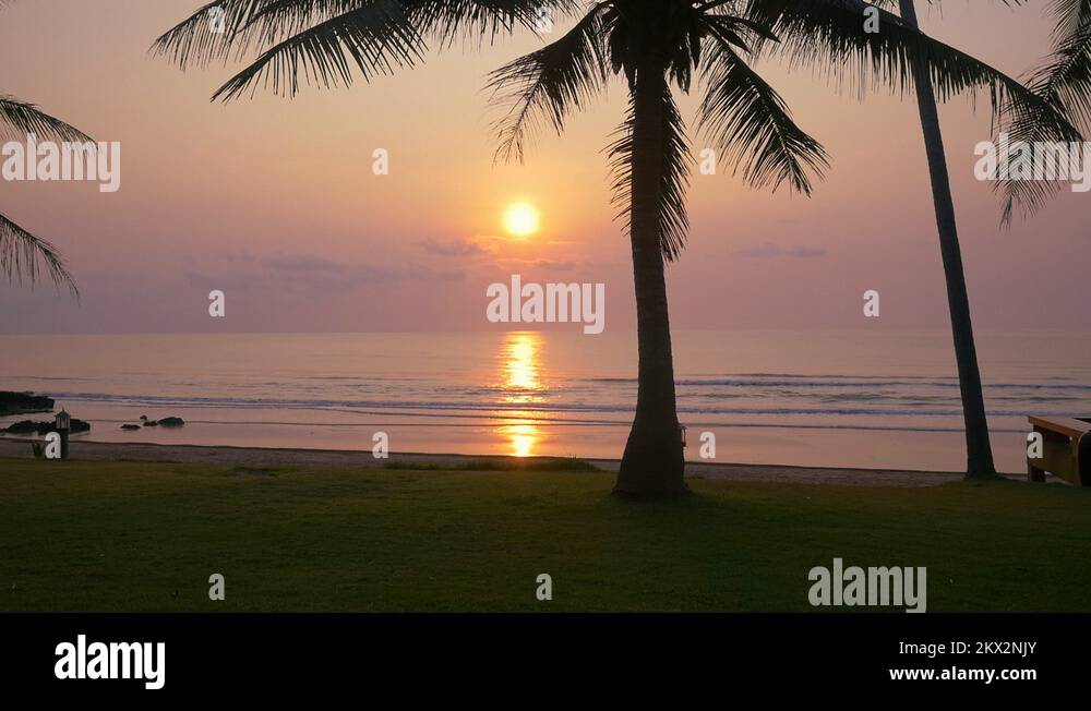 Sunset at the beach with coconut tree Stock Videos & Footage - HD and ...