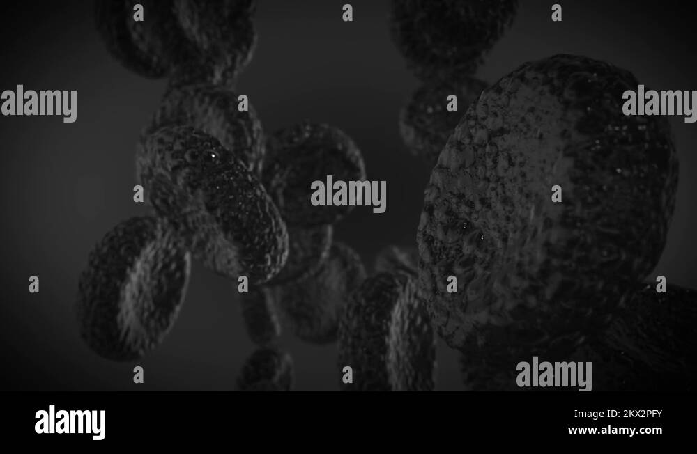Black blood Stock Videos & Footage - HD and 4K Video Clips - Alamy