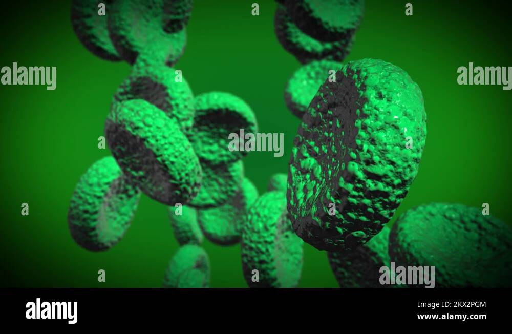 Sick green Stock Videos & Footage - HD and 4K Video Clips - Alamy