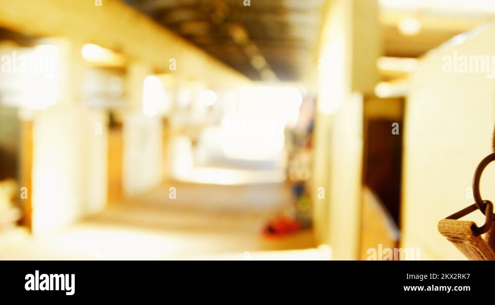 Stable wall Stock Videos & Footage - HD and 4K Video Clips - Alamy