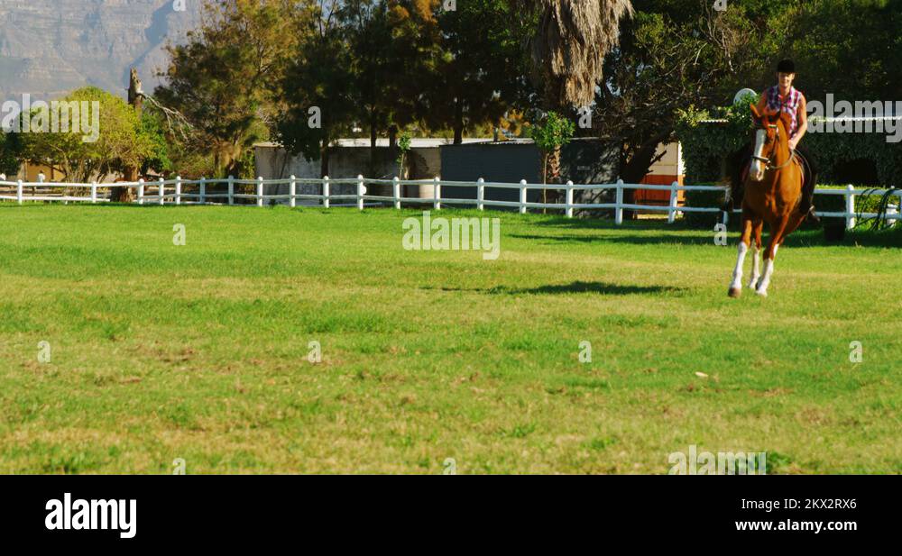 Woman riding horse in ranch 4k Stock Video Footage - Alamy
