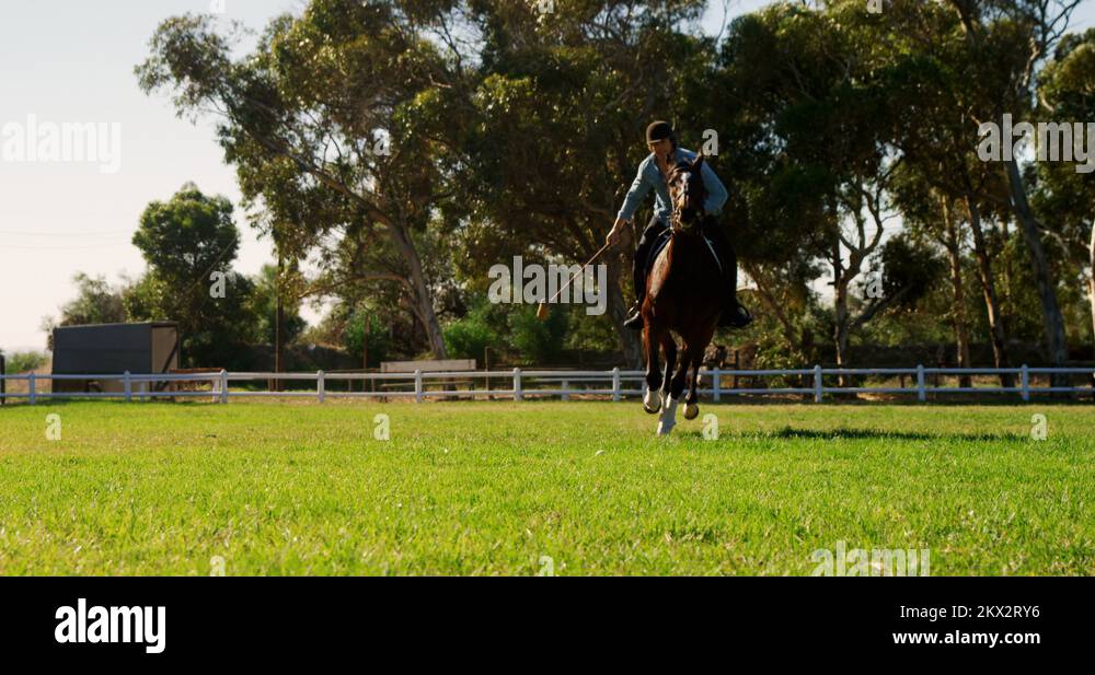 Male jockey riding horse in the ranch 4k Stock Video Footage - Alamy