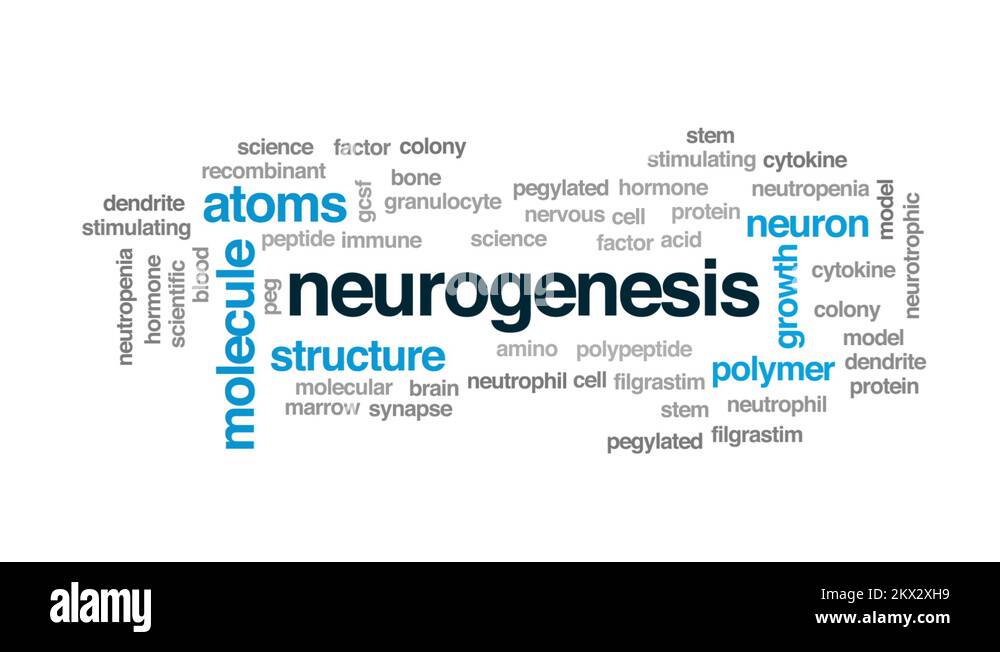 Neurogénesis Stock Videos & Footage - HD and 4K Video Clips - Alamy